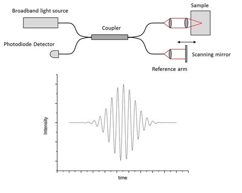 2 Top Schematic Of A Typical Time Domain Oct System Bottom An Example Download Scientific