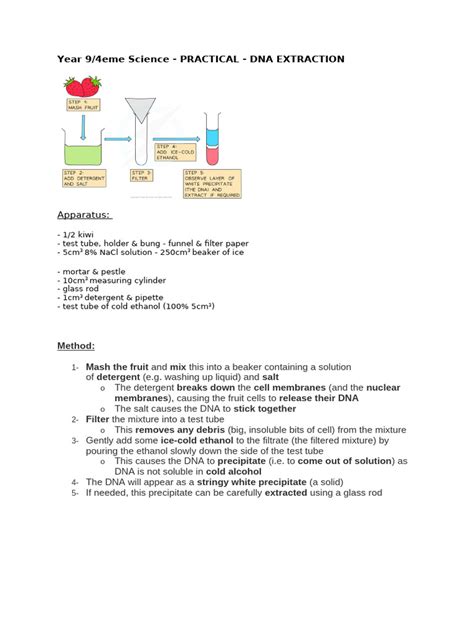 Practical Dna Extraction Pdf