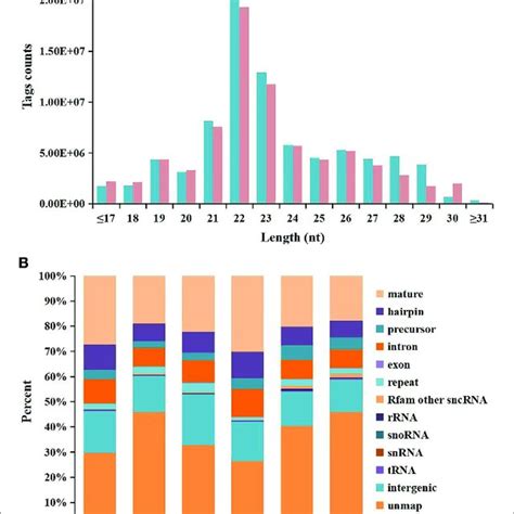 Length Distribution And Annotation Of Transcriptome Unigenes A