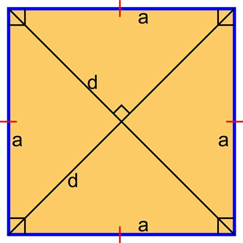 বরগ কক বল বরগকষতর কক বল বরগকষতরর সতর বরগকষতরর করণর দরঘয
