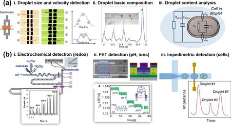 Real Time Tracking Of Individual Droplets In Multiphase Microfluidics Intechopen