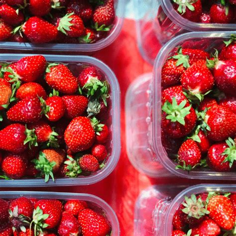 Polyester Vs Polyethylene Understanding The Differences Between