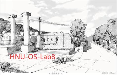 hnu 操作系统os 实验lab8
