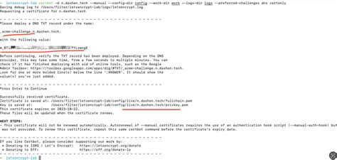 运维 使用lets Encrypt 申请通配符证书 Geek Segmentfault 思否