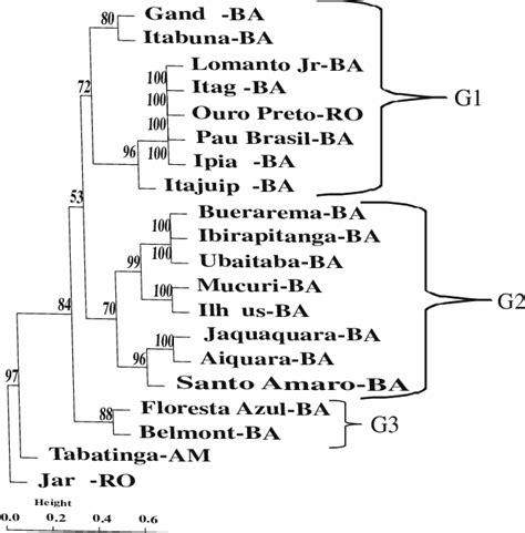 Dendrogram Upgma Based On The Analysis Of Irap And Remap Markers For