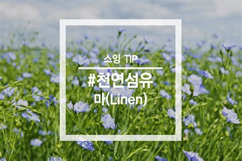 원단의 종류를 알아보자2탄 천연섬유 시원시원 린넨리넨마 네이버 블로그