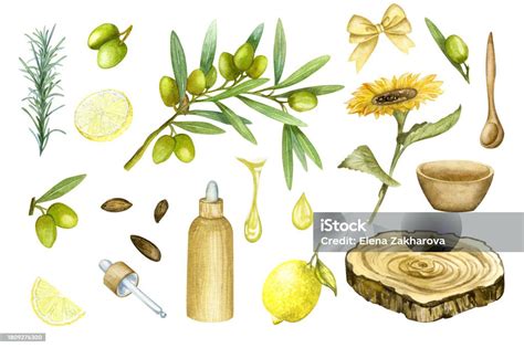 올리브 오일 세트 손으로 그린 수채화 프로방스 이탈리아 크림 및 세럼 화장품 음식 및 주방 레스토랑 메뉴 요리 제품 포장 섬유 수건 건강한 생활방식에 대한 스톡 벡터 아트