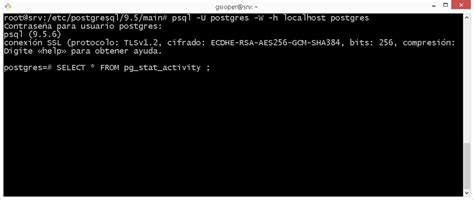Cerrando Conexiones En Postgresql Est Listo