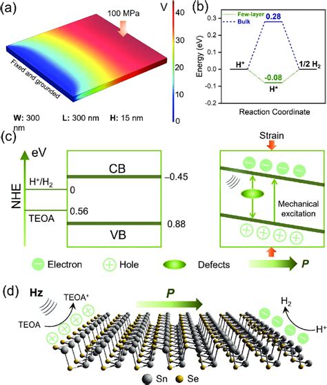 A Fem Simulation Of The Piezoelectric Potential Distribution Of A Download Scientific Diagram
