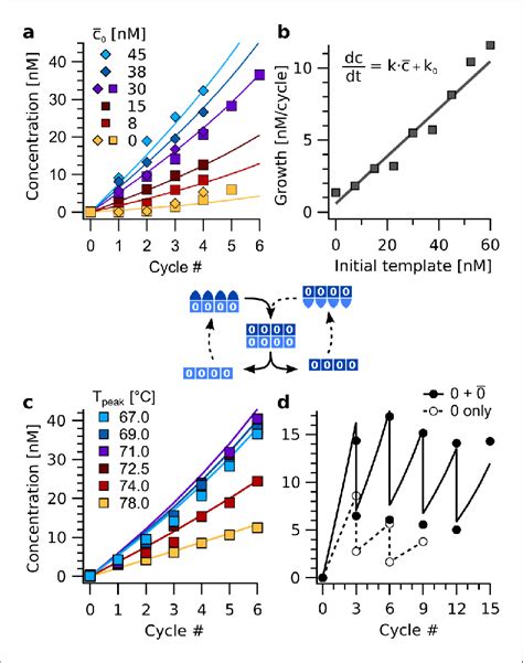 exponential amplification of a restricted sequence subset with thermal