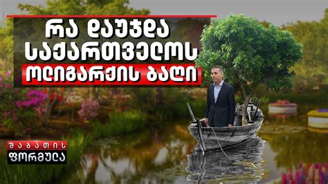 დენდროლოგიური პარკის ნამდვილი ფასი Youtube