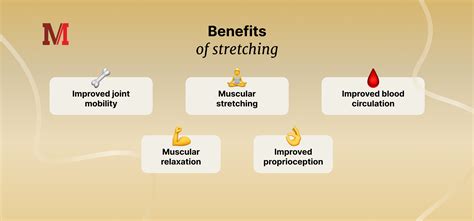 The Truth About Stretching Massageliegenhaus