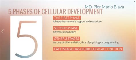 How To Reprogram Cancer Stem Cells Reprogram Cells