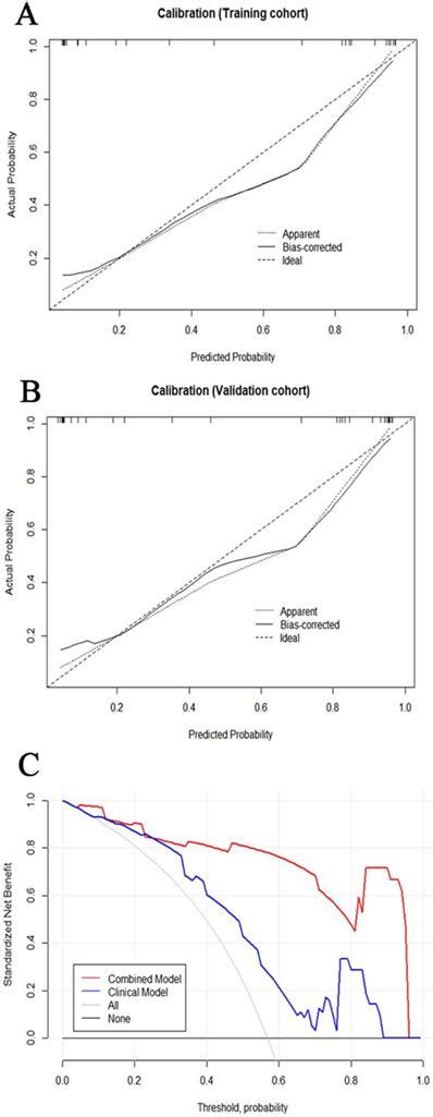 Mri Based Radiomic Model For Preoperative Risk Stratification In Stage I Endometrial Cancer