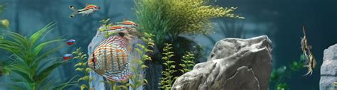 Purchase Dream Aquarium The Worlds Most Advanced Virtual Aquarium
