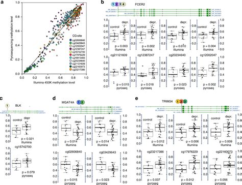 Pyrosequencing Validation Of Differentially Methylated Cg Sites In T Download Scientific