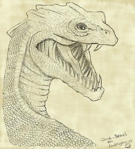 Basilisk Harry Potter Drawing