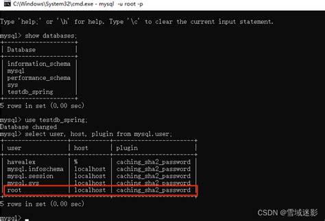 连接mysql时报错“public Key Retrieval Is Not Allowed“的解决方法 Csdn博客