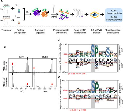figure 4 from mapping the signaling network of bin2 kinase using