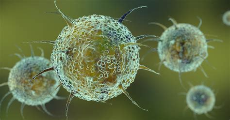 Important Bloodborne Pathogens And How To Avoid Them Part 3