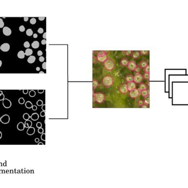 COLOUR FIGURE Segmentation pipeline Input image patches ① are