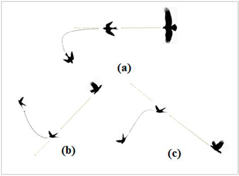 Stochastic Multi Objective Scheduling Of A Hybrid System In A Distribution Network Using A