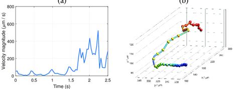 Temporal And Spatial Variation Of The Tracer Velocity A Velocity Of