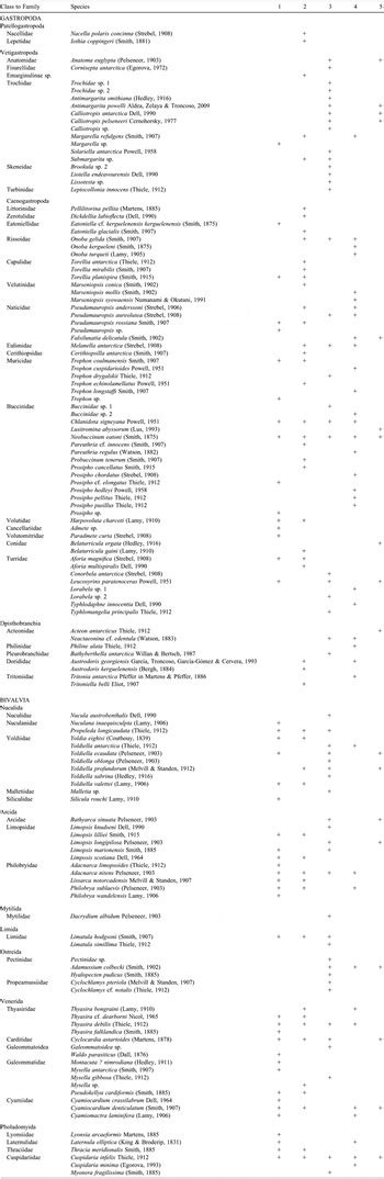 Spatial Patterns Of Benthic Diversity In Molluscs From West Antarctica