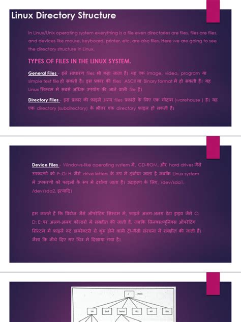 10 Linux Directory Structure Pdf