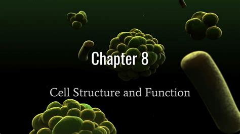 SOLUTION Ch 8 Cell Structure And Function Studypool