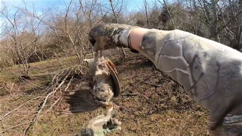 ტყის ქათამზე ნადირობა Youtube