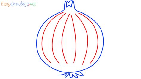 How To Draw Onion Step By Step 5 Easy Phase Emoji