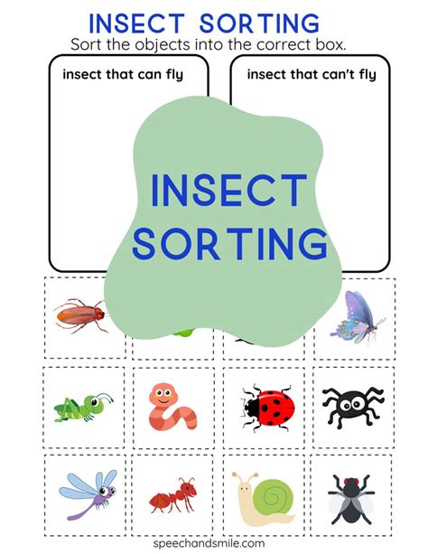 Insect Sorting Activity Worksheet Bug Sorting Print And Play Prescho