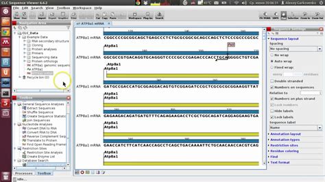clc sequence viewer einstein university virtbuilding
