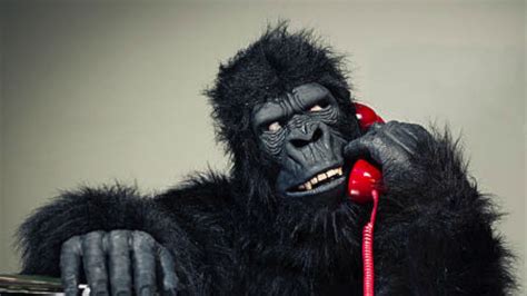 CALL CENTRE SONG Okee Dokee YouTube