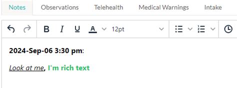 Feature Overview Rich Text Charting Juvonno Help Center