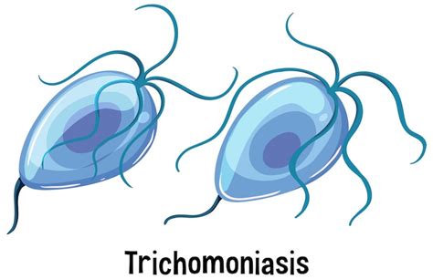 Images De Trichomonas Téléchargement Gratuit Sur Freepik