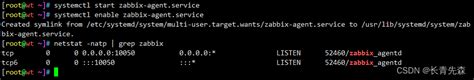linux系统下部署 zabbix agent 客户端安装配置 详细图文教程 linux安装zabbix agent csdn博客