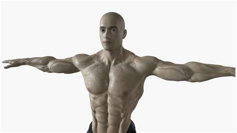 Hmn 001 Rigged Human 3d Model Turbosquid 1986452