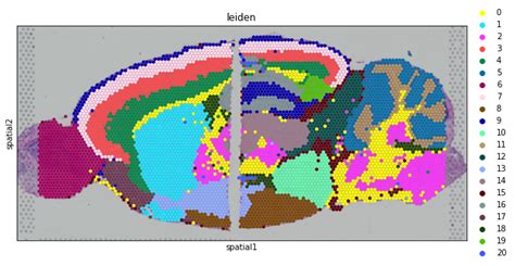 Joint Analysis Of 10x Visium Mouse Brain Slices — Sparcl 010 Documentation