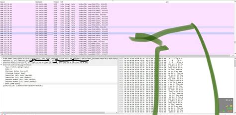 Termshark V2 A Terminal Ui For Tshark Written In Go Now With Stream