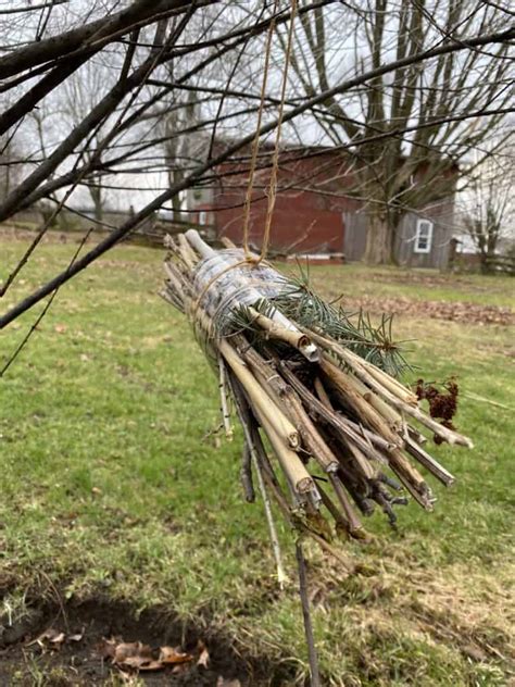 Unplugged Coding Hopscotch Pinnguaq