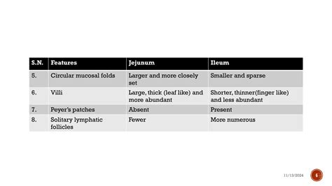 05 Jejunum Vs Ileum Pptxxxxxxxxxxxxxxxx Ppt