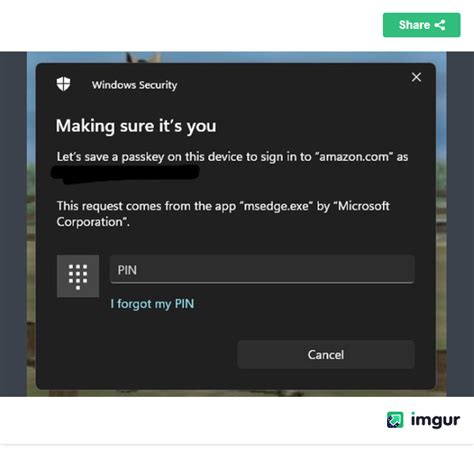 Windows Security Popup Microsoft Community Hub