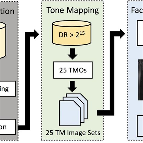 The Pipeline Of Data Collection And Experiment Download Scientific