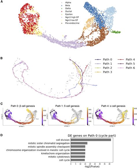 Inference Of High Resolution Trajectories In Single Cell Rna Seq Data By Using Rna Velocity