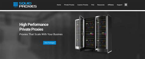 Squidproxies Review 2025 Trusted Proxy Service Provider