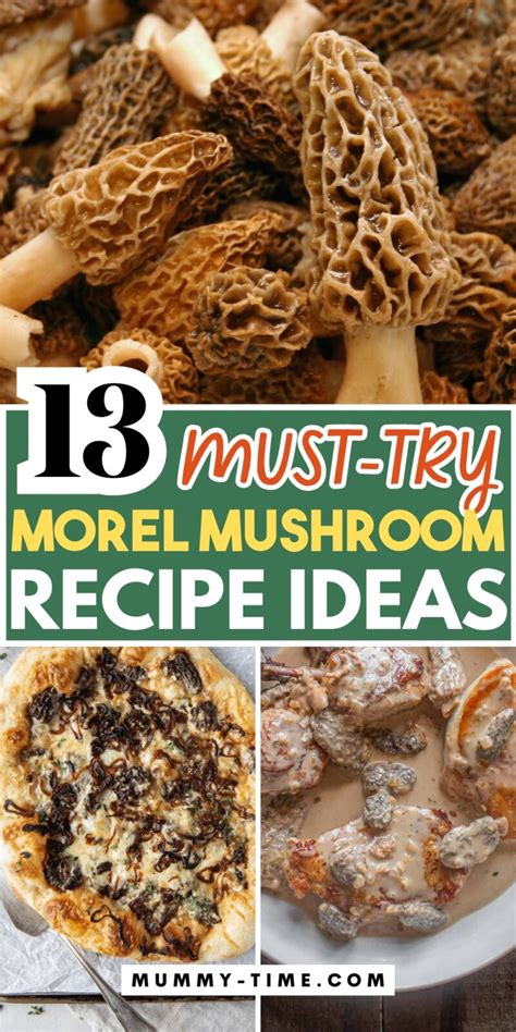 13 Must Try Morel Mushroom Recipes Mummy Time