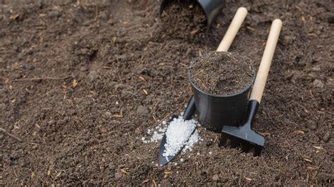 Зачем нужно вносить в почву удобрения и какие виды удобрений самые эффективные
