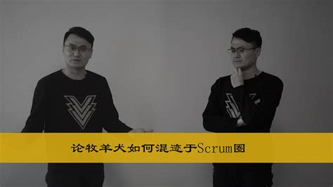 敏捷开发